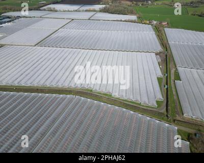 Aerial view of Marden Herefordshire UK showing large soft fruit ...