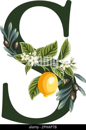 letter D from Alphabet with lemons and olive branches illustration ...