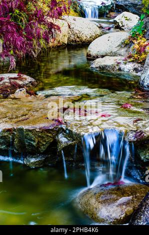 An outdoor scene of a tranquil pond featuring a cylindrical metal pipe ...