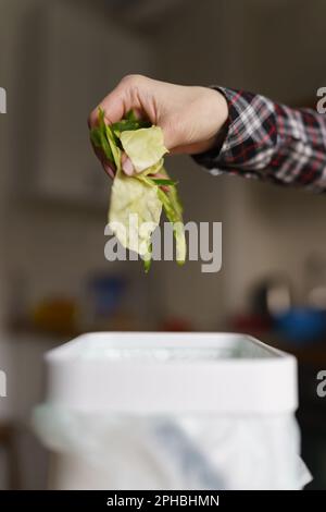 Person making a compost at home with bokashi bran. Female composting ...
