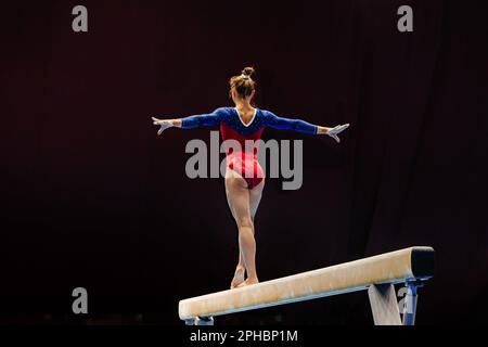 back female gymnast athlete balancing on balance beam gymnastics ...