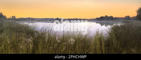 East European swamps and Peat Bogs. Ecological reserve in wildlife ...