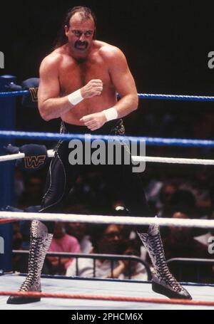 1991 Jake the Snake Photo by John Barrett/PHOTOlink Stock Photo - Alamy