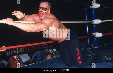 1987 Hawk Photo by John Barrett/PHOTOlink Stock Photo - Alamy