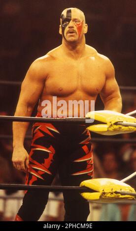 1987 Hawk Photo by John Barrett/PHOTOlink Stock Photo - Alamy