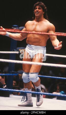 1990 Rick Martel Photo by John Barrett/PHOTOlink Stock Photo - Alamy