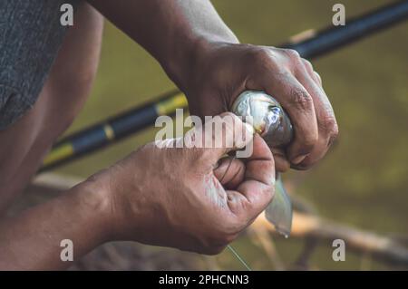 Man taking the hook out of the mouth of a fish that has just fished ...