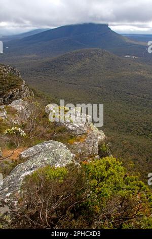 View of Mount Sturgeon and Abrupt from the crater of Bald Hill, an ...