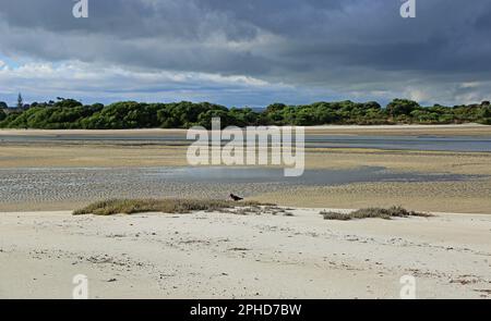 Ruakaka River mouth. Bream Bay. NZ, The Ruakaka River is a river of the ...