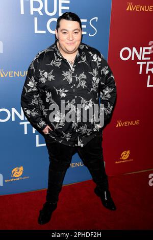 Max Talisman attends the premiere of "One True Loves" at The Whitby ...