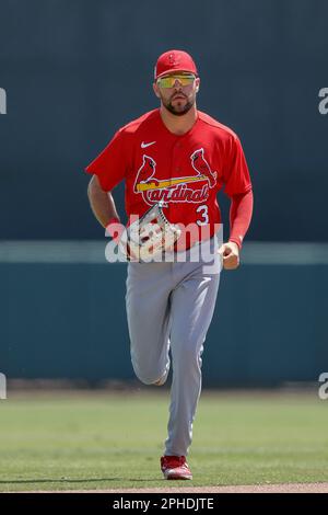 St. Louis Cardinals center fielder Victor Scott II catches a fly ball ...