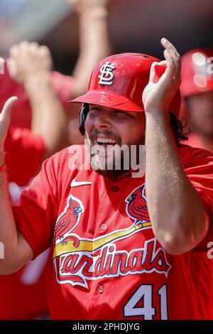 St. Louis Cardinals right fielder Dexter Fowler is unable to catch a ...
