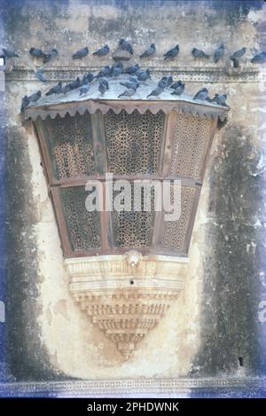 Zarukha, Windows at Raj Mahal, Bhuj, Gujrat, India Stock Photo - Alamy