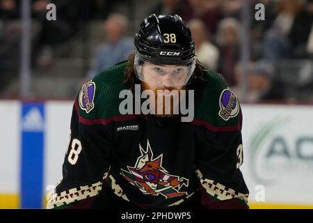 Arizona Coyotes center Liam O'Brien (38) in the first period during an ...
