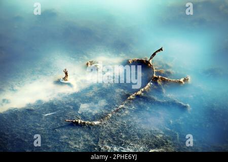 Hydrogen sulfide stagnant salt marsh. Gas turns turbid blue in water on ...