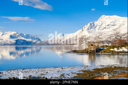 Landscape at Salangen Fjord near Loksebotn in northern Norway during ...