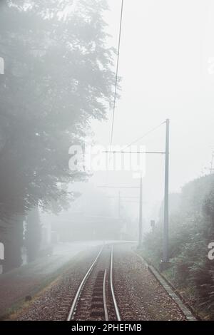 Gloomy autumn scenery with railroad and electric poles leading along ...
