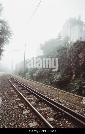 Gloomy autumn scenery with railroad and electric poles leading along ...