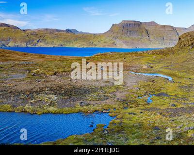 Landscape along the Strandavegur at Reykjarfjoerdur. The Strandir in ...