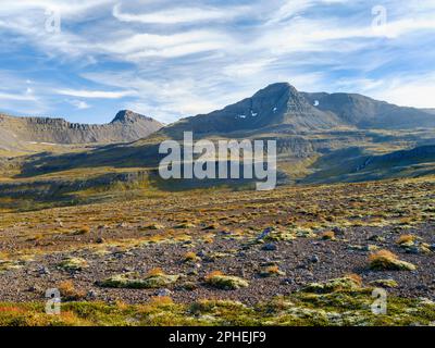 Landscape along the Strandavegur at Reykjarfjoerdur. The Strandir in ...