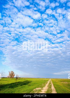 Landscape of the typical steppe 'Puszta' ecosystem in the National Park ...