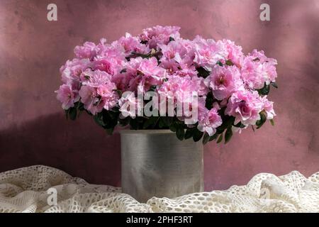 Bloomed azalea in bucket, vintage still life, art interior design Stock ...