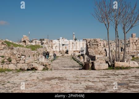 Path from the Entrance Gate to the Umayyad Palace, the Citadel, Amman ...