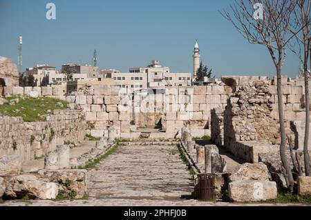 Path from the Entrance Gate to the Umayyad Palace, the Citadel, Amman ...