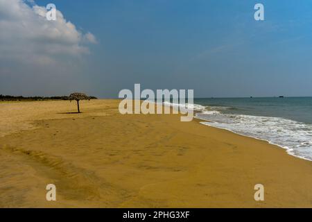 Paradise beach in Pondicherry in sunny day Stock Photo - Alamy