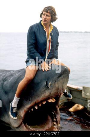 STEVEN SPIELBERG in JAWS (1975), directed by STEVEN SPIELBERG. Credit: Zanuck/Brown Productions ...