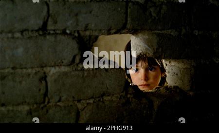 THE SPIRIT OF THE BEEHIVE (1973) -Original title: EL ESPIRITU DE LA ...