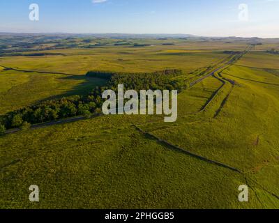 Black Carts Turret aerial view on Hadrian's Wall ruin near village of ...