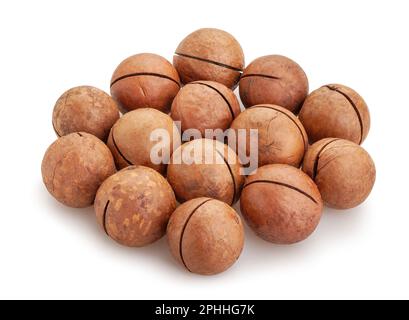 macadamia nut path isolated on white Stock Photo - Alamy