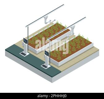 Isometric vegetable hydroponic system, modern greenhouse smart plant ...