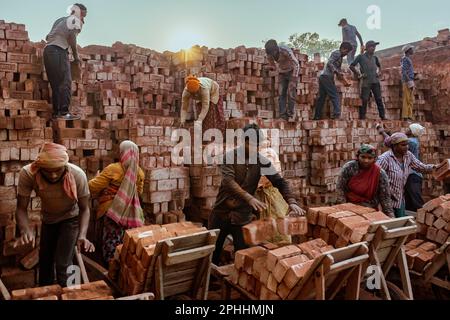 Workers unloading bricks at a brick kiln. In recent years, the number ...