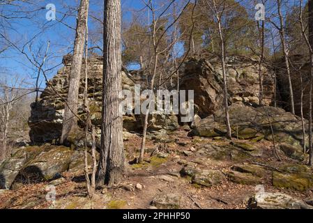 Landscape on the Devil’s Standtable Nature Trail in Giant City State ...