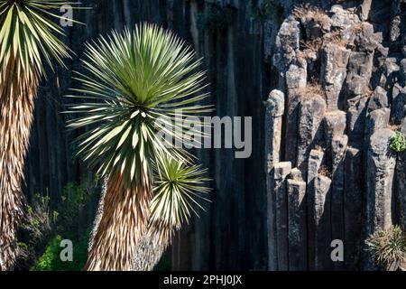 Prismas Basalticos, National Park with Waterfall in Basaltic Prisms ...