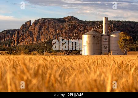 Silos and Mt Arapiles Stock Photo - Alamy