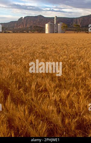 Silos and Mt Arapiles Stock Photo - Alamy
