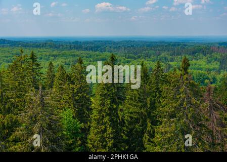 Suur Munamägi Tower in Estonia Stock Photo - Alamy