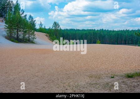 Natural landscape of Piusa caves in Estonia Stock Photo - Alamy
