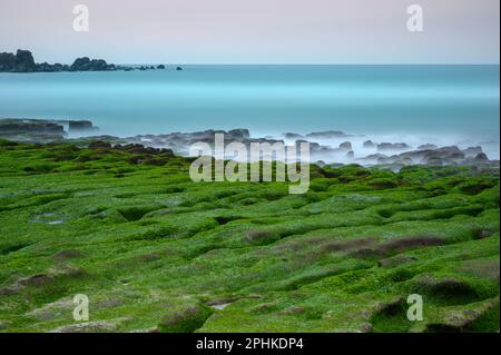 White waves wash over mossy brown rocks. Explore breathtaking coastal ...