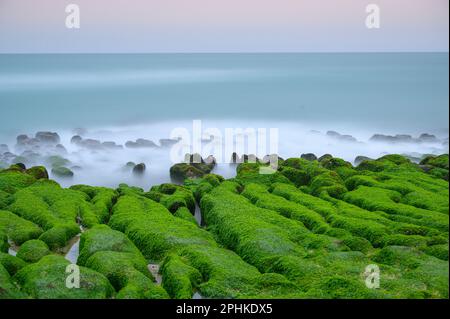 White waves wash over mossy brown rocks. Explore breathtaking coastal ...
