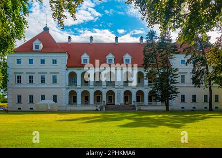 View of Birzai Castle in Lithuania Stock Photo - Alamy