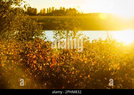 Beautiful autumn landscape of Kymijoki river waters at sunset. Finland ...
