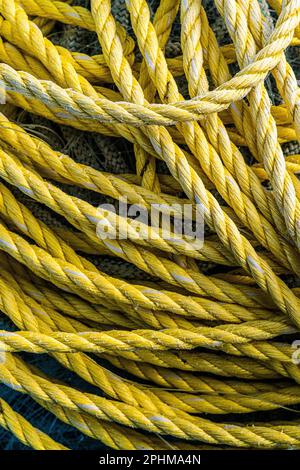 Coiled yellow rope Stock Photo - Alamy