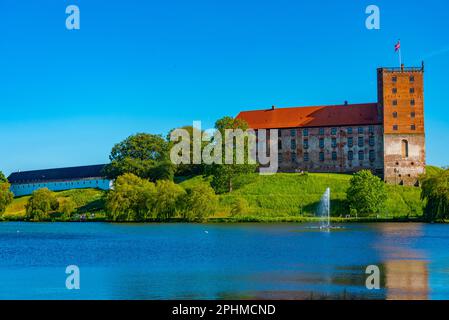 Koldinghus castle in Danish town Kolding Stock Photo - Alamy