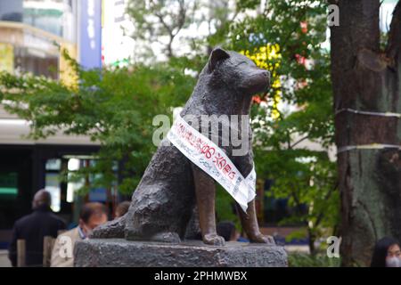 A statue of the famous dog Hachiko, outside of Shibuya Station in ...