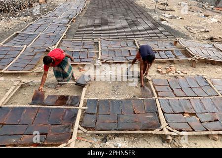 Cow hides drying in the sun at tannery Tamale Northern Ghana West ...