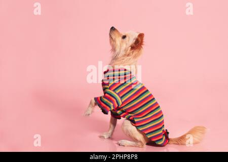 Lifestyle photos at the Dominican Republic Stock Photo - Alamy